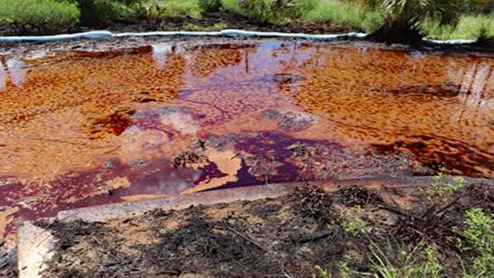 Man accused of dumping 10,000 gallons of cooking oil in Polk