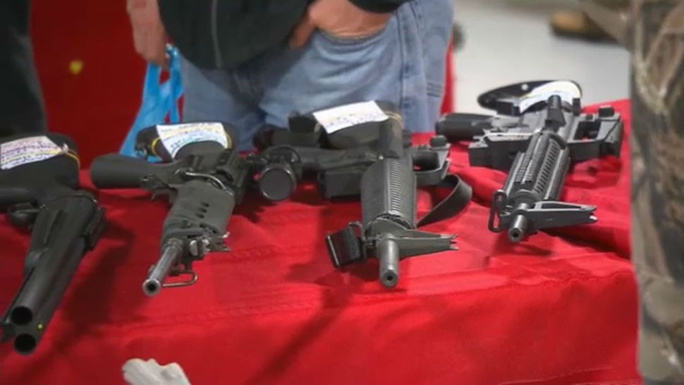 Gun Control Advocates Call for Gun Safety Laws