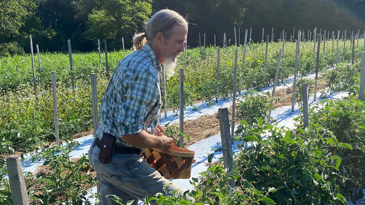 DNC Platform: Fighting Climate Change