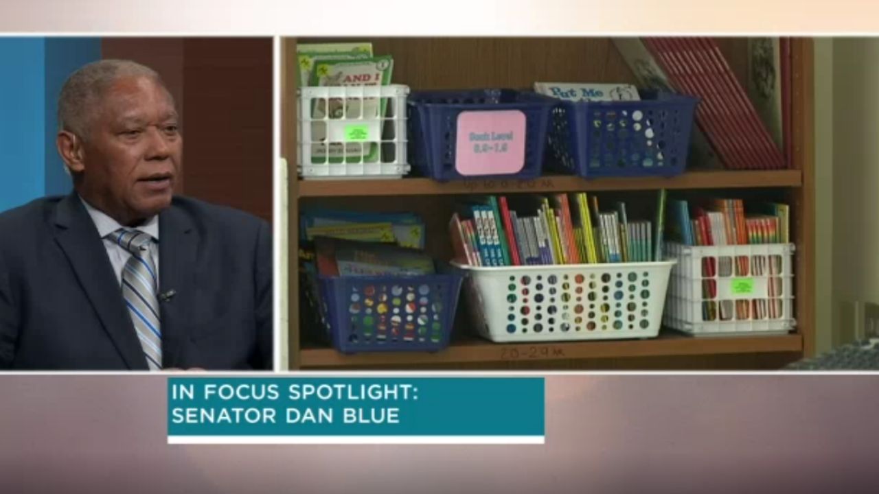 Top Issues for Senator Dan Blue