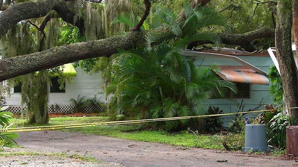 Home Destroyed by Tree Property Managers Say Not at Fault