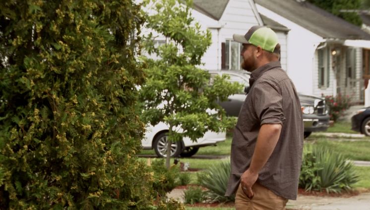 UofL Green Heart Project