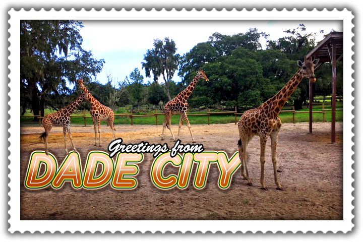Tankful: Go on a Safari Adventure at Giraffe Ranch