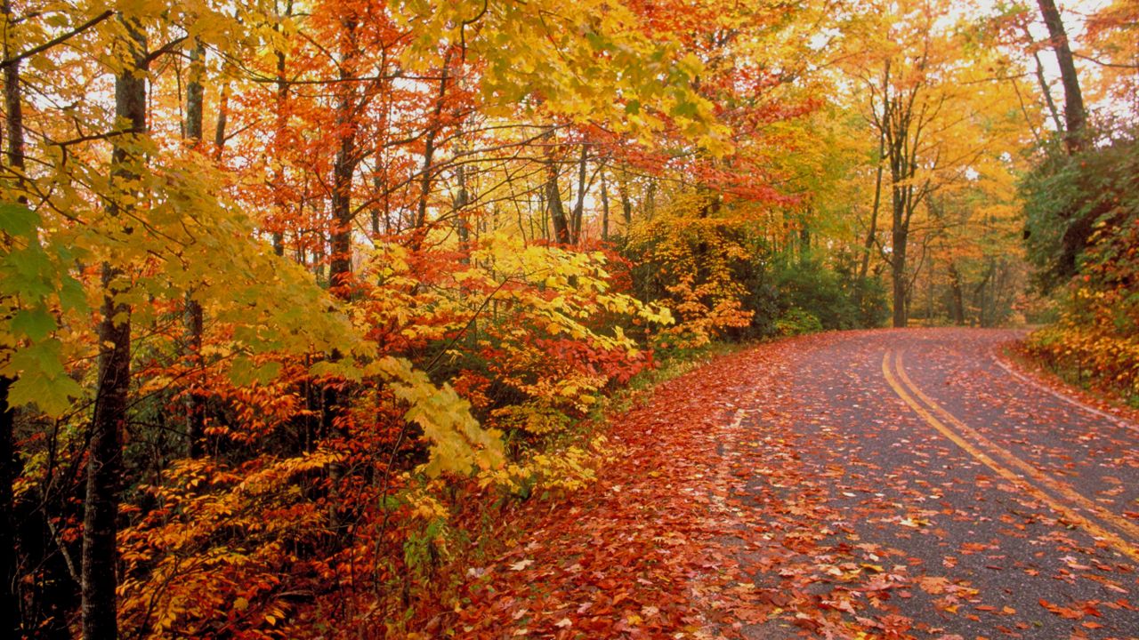 Leaf-peeping season has returned to Wisconsin