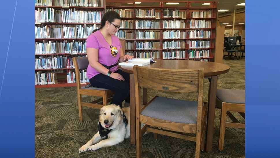 Student and Service Dog Working on their Educations while Teaching Others