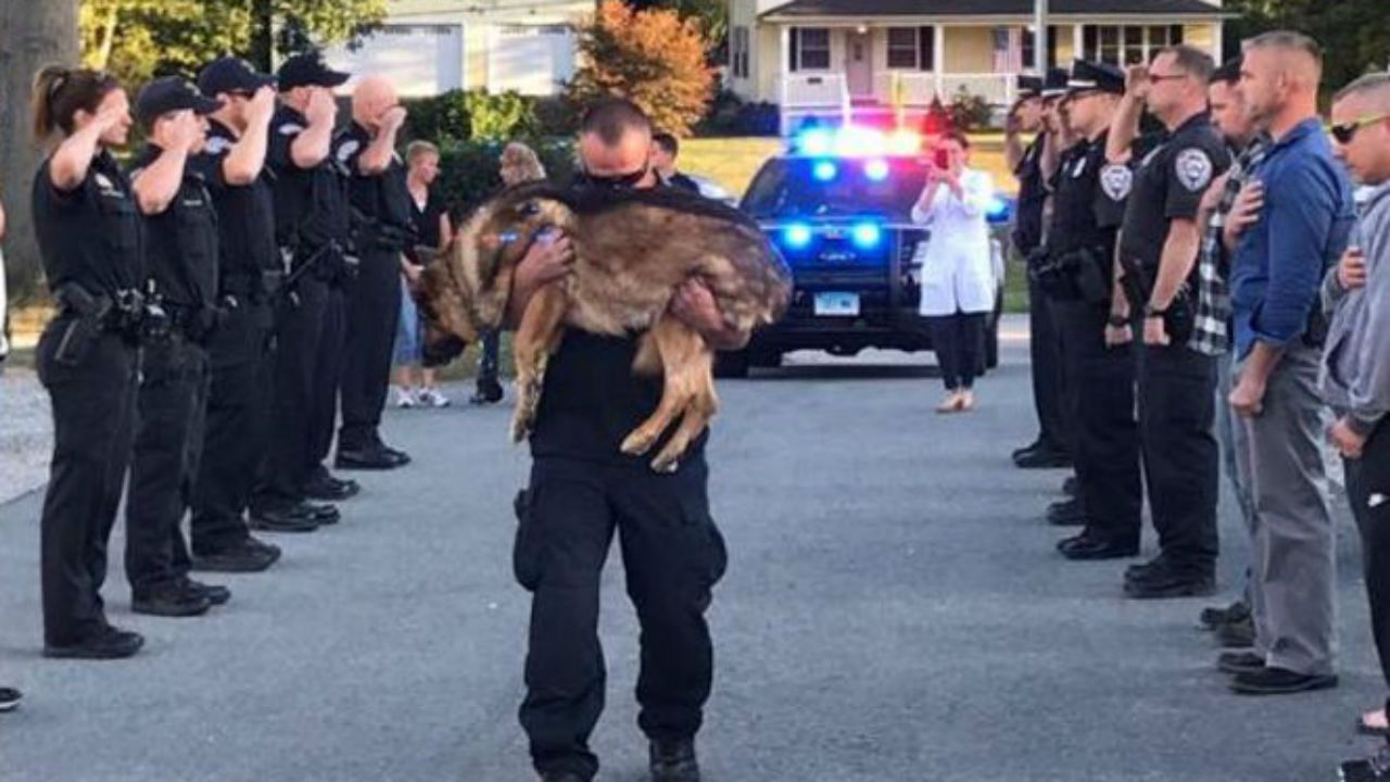 K9 honored in final salute before being put down