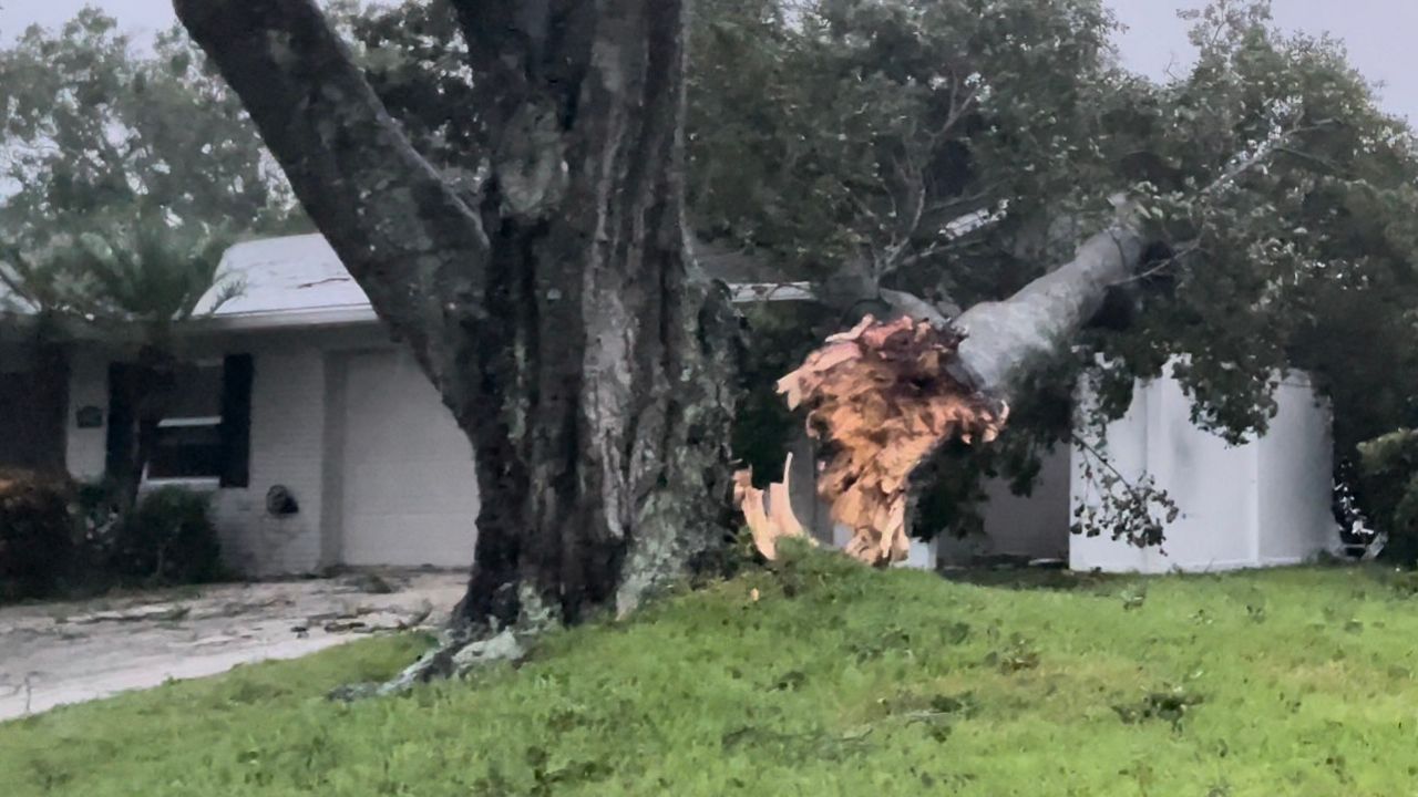 Nick Popham surveys late Wednesday conditions in Polk Co.