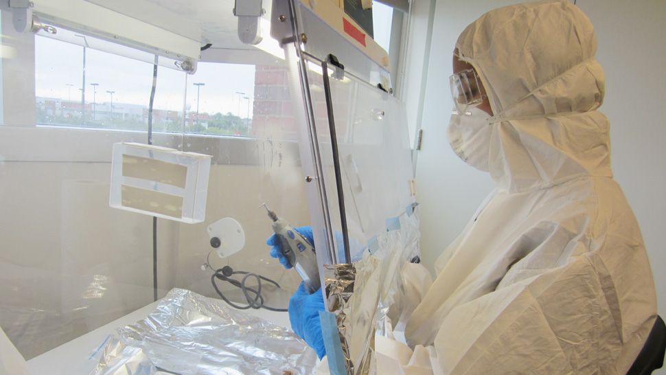 Genetic Link Found Between Modern Day Puerto Ricans,Ancient Indigenous ...