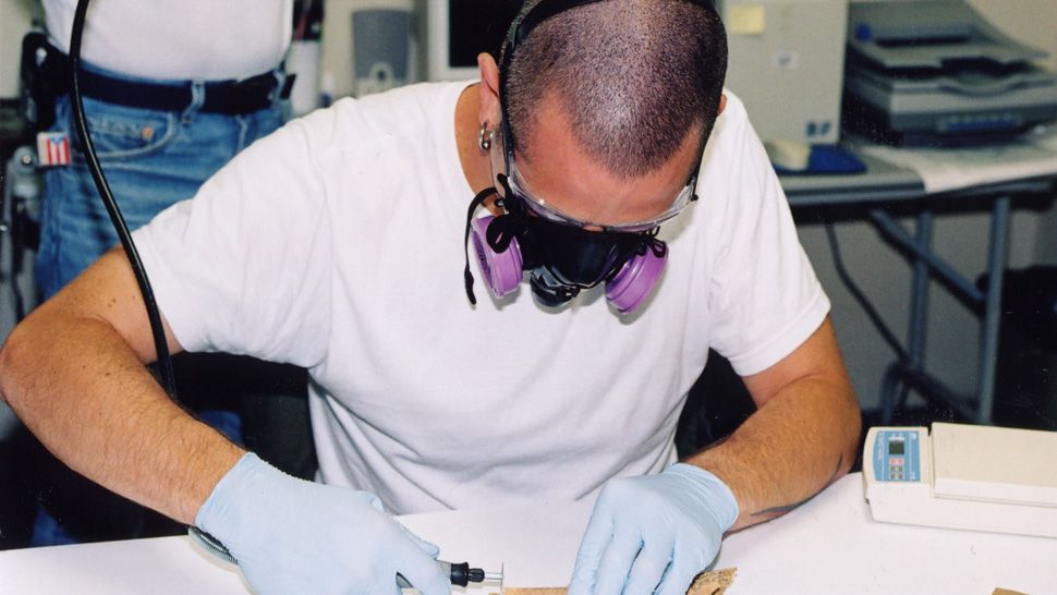 Genetic Link Found Between Puerto Ricans, Ancient Tribe