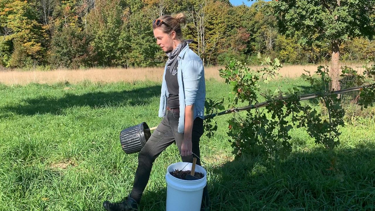 Arboretum Says Planting Trees Helps Combat Climate Change