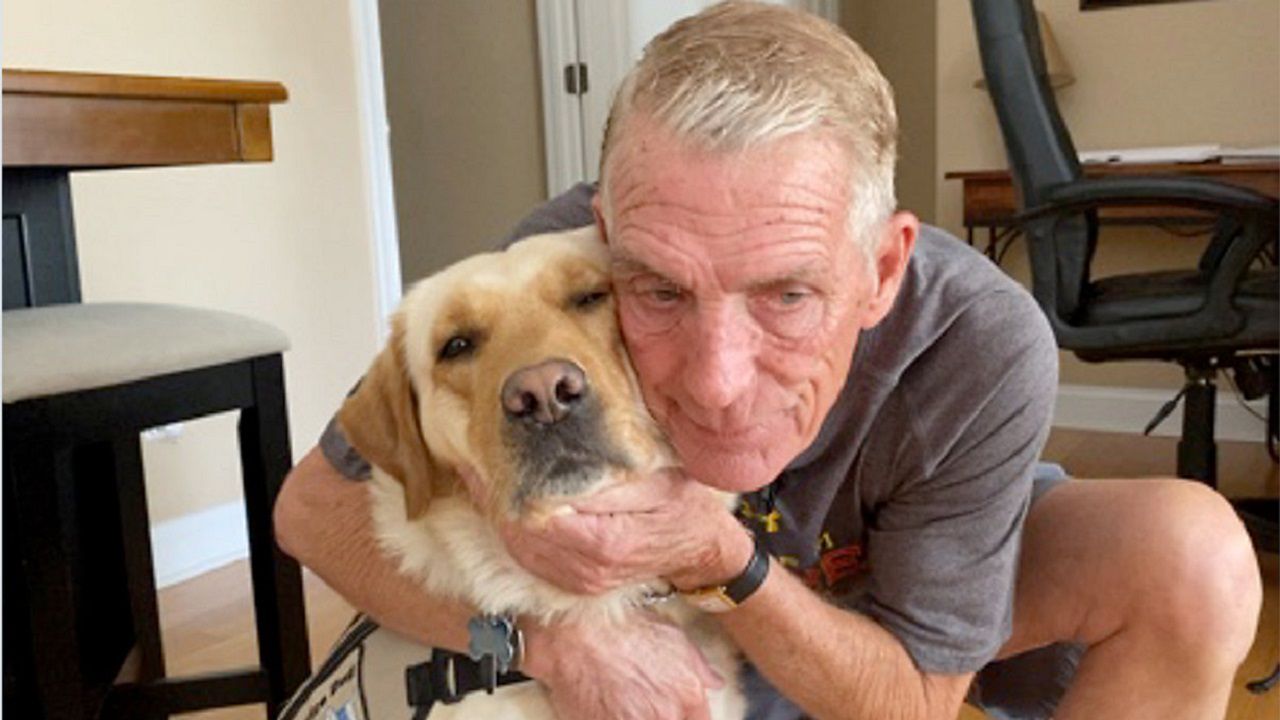 The PAWS Act helping veterans with PTSD