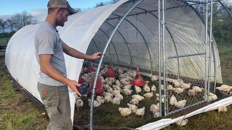 Andre Faul Jr. has been farming 100 acres of land since 2017
