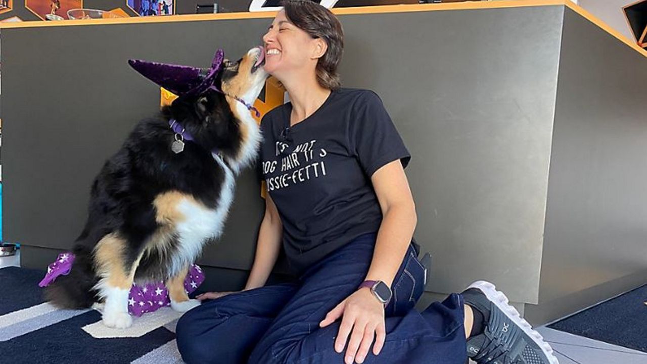 5 things to know about the Puppy Pawty