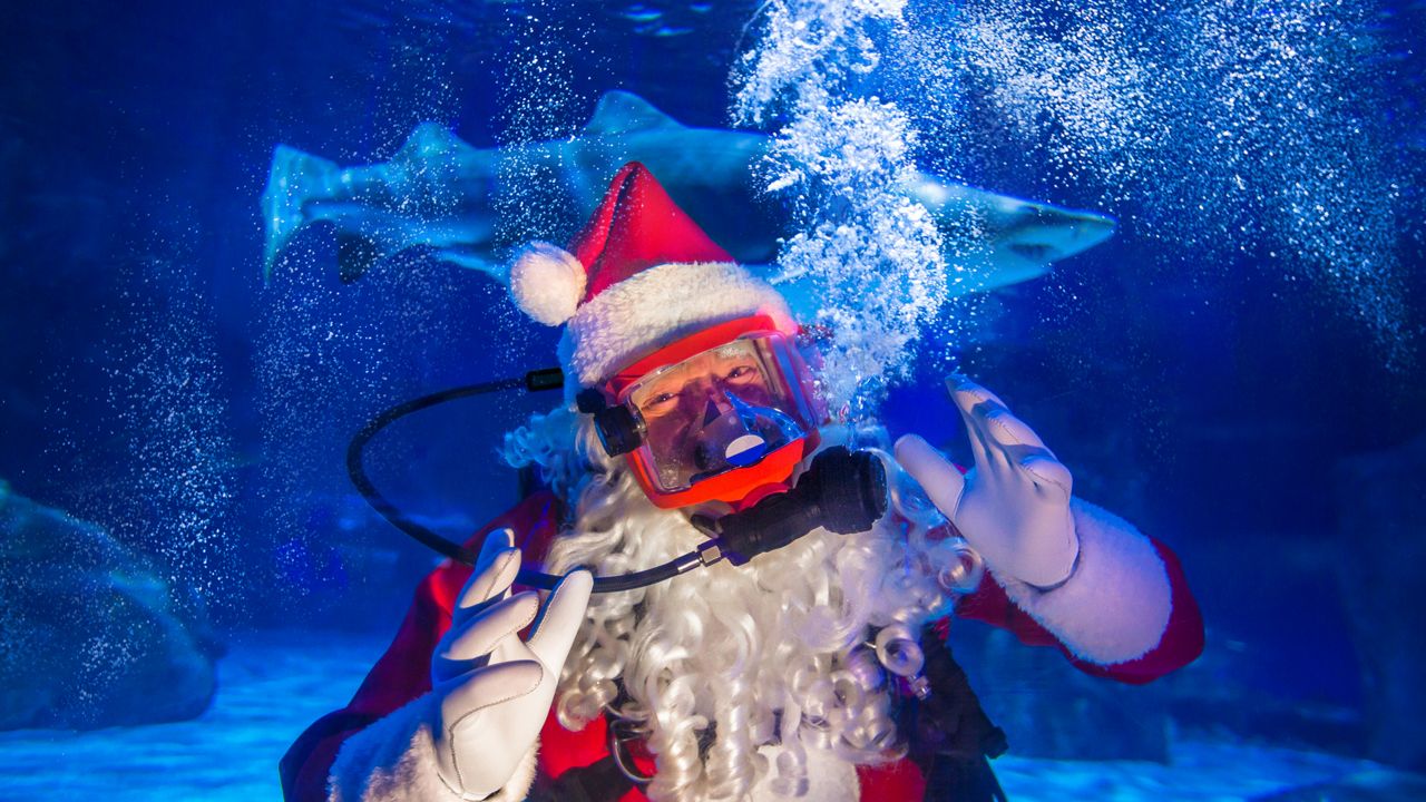 Scuba Santa Visits Newport Aquarium