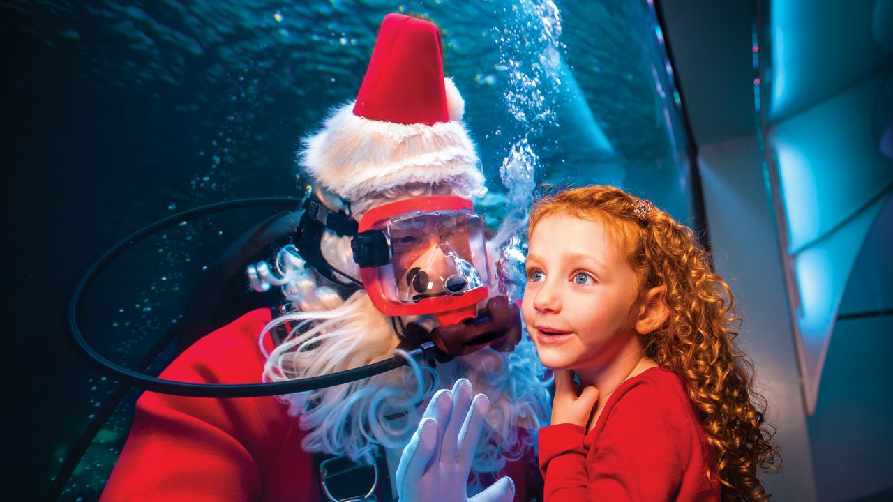 Scuba Santa Visits Newport Aquarium