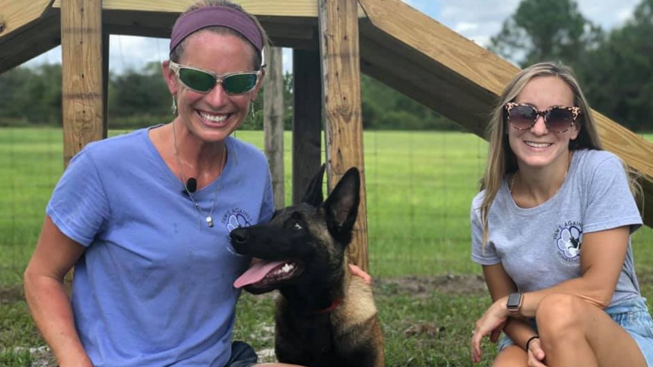Woman Trains Dogs to Help Domestic Violence Victims