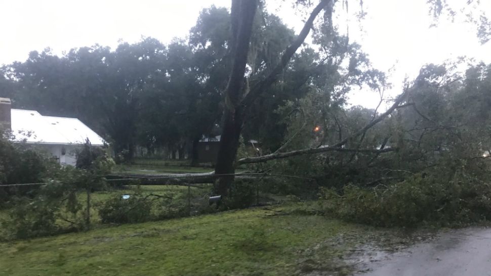 Officials: EF-2 Tornado Touched Down in Polk County
