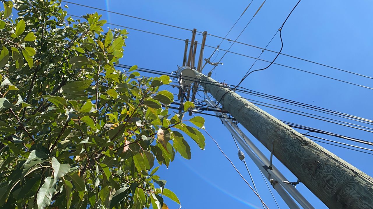 Child touches downed powerline, burned by electric shock