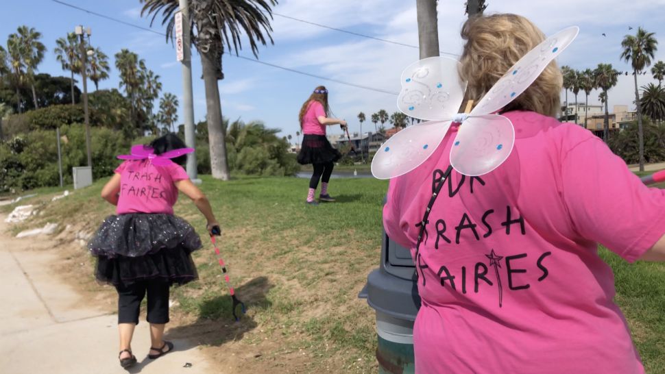 Fairies Making Trash Disappear in Your Neighborhood