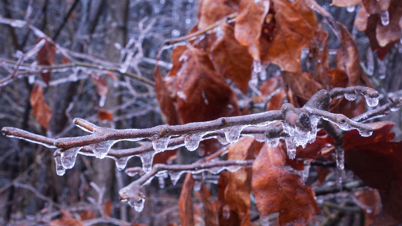 It's fall, now is the time to prep for cold weather
