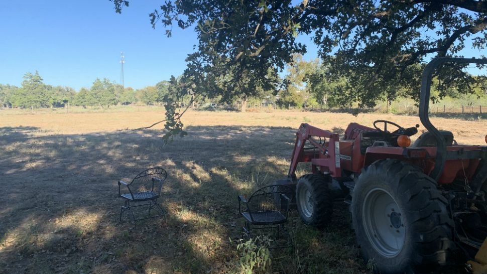 Texas Farmers Prepare For Hemp Growing