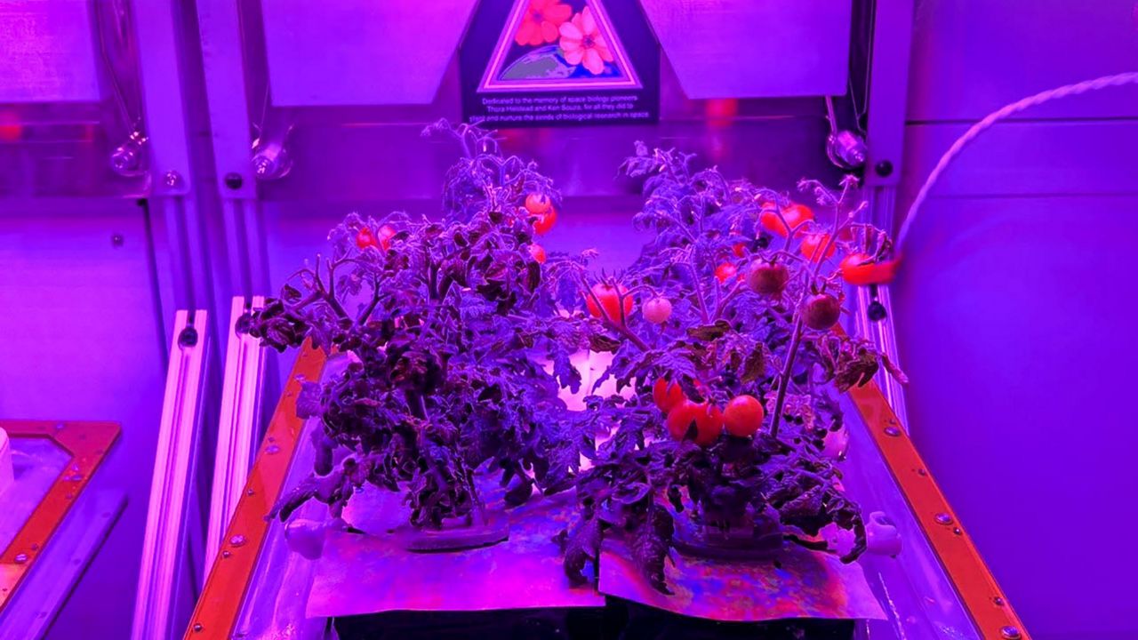 SpaceX scrubs resupply launch to the ISS due to weather