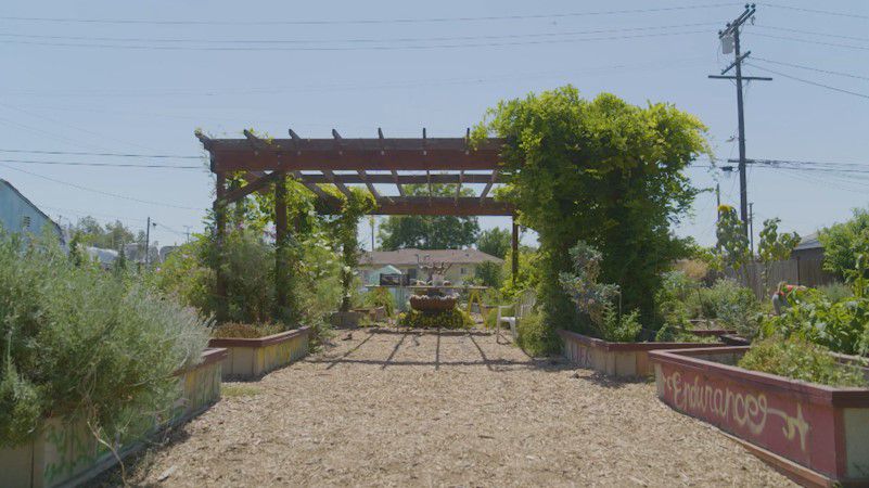 Protecting green spaces at the Compton Community Garden