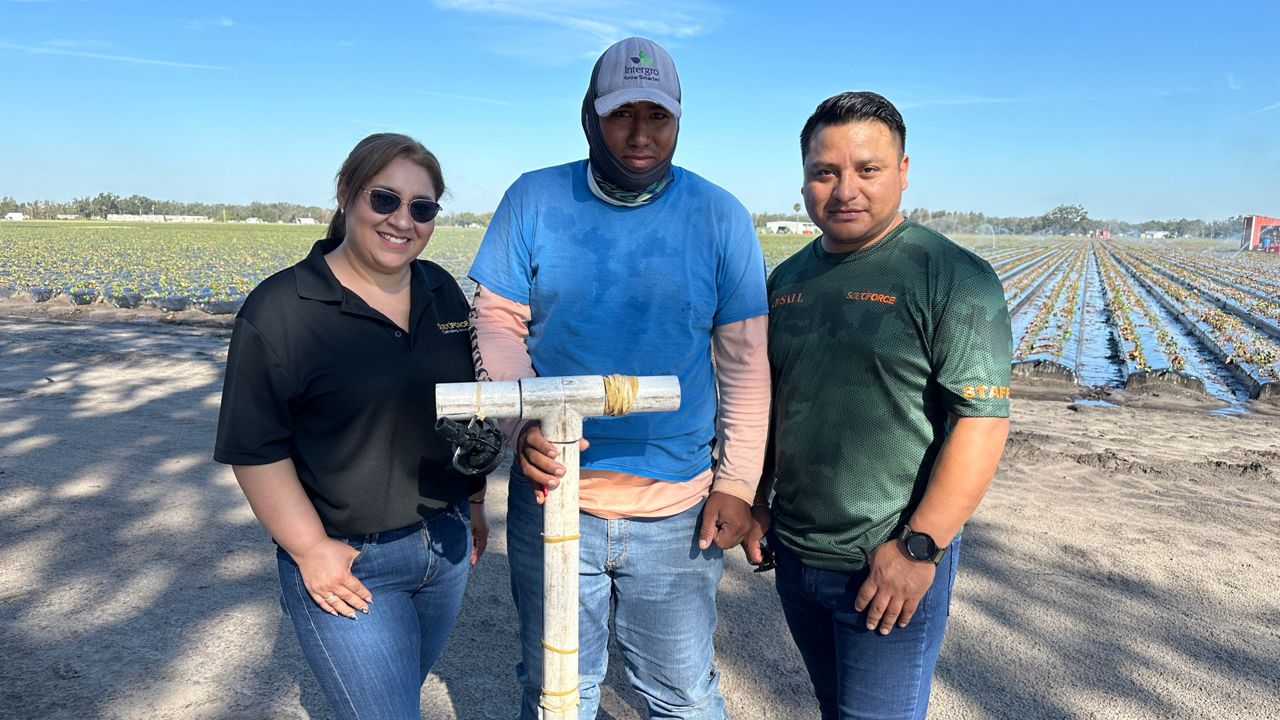 SeedForce hosting 5K to help children of Florida H2A workers