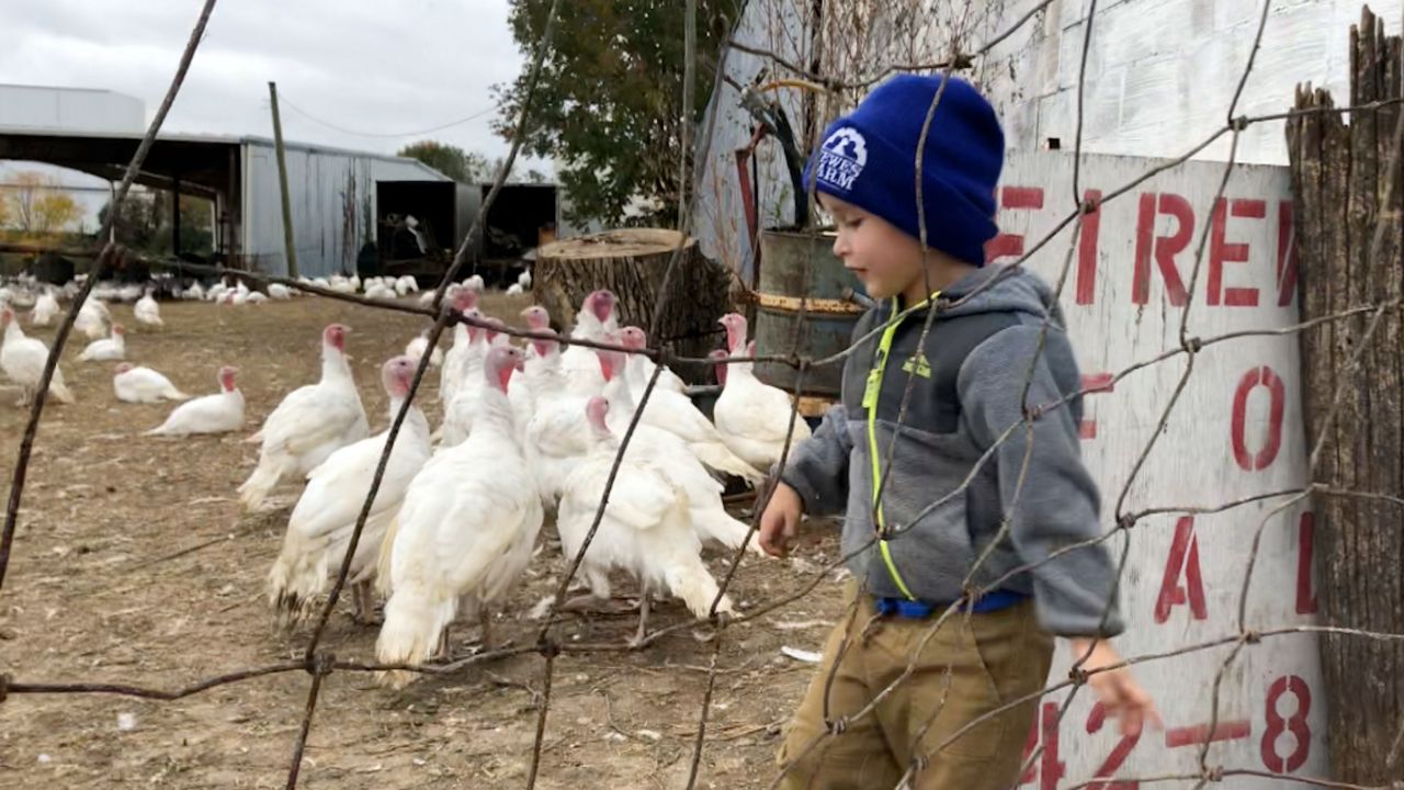 Tewes Turkey Farm