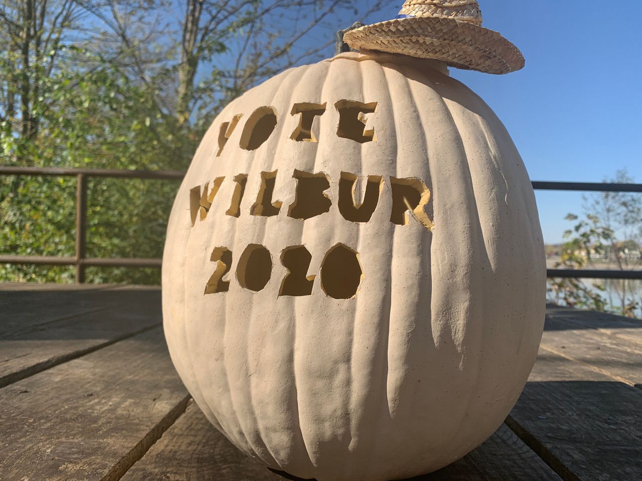 Meet Mayor Wilbur of Rabbit Hash