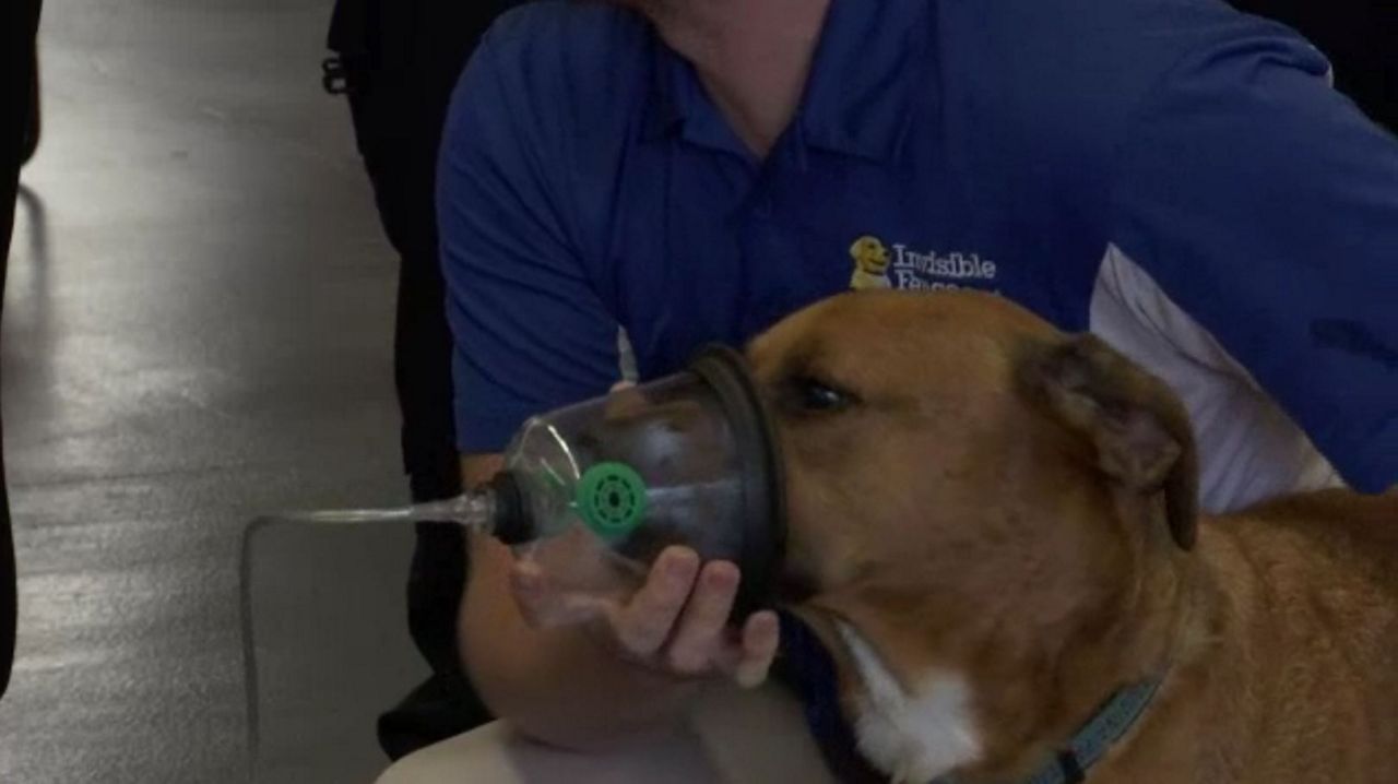 Triad First Responders Get Pet Oxygen Masks