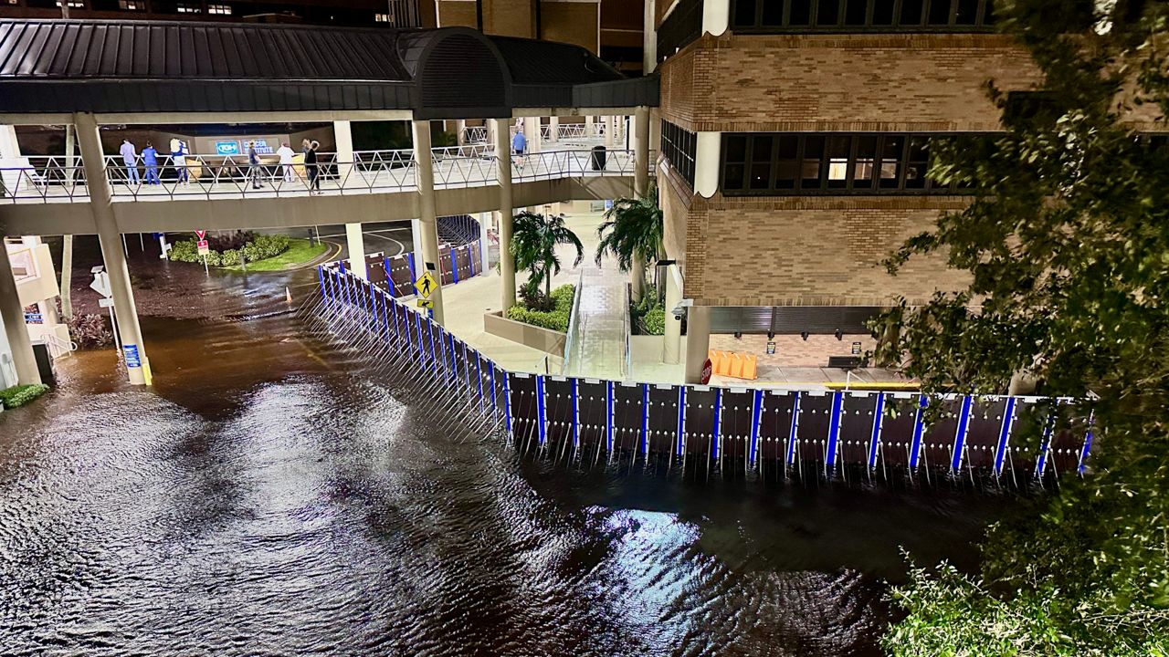 Tampa EDC: Businesses are expanding and moving to Bay area