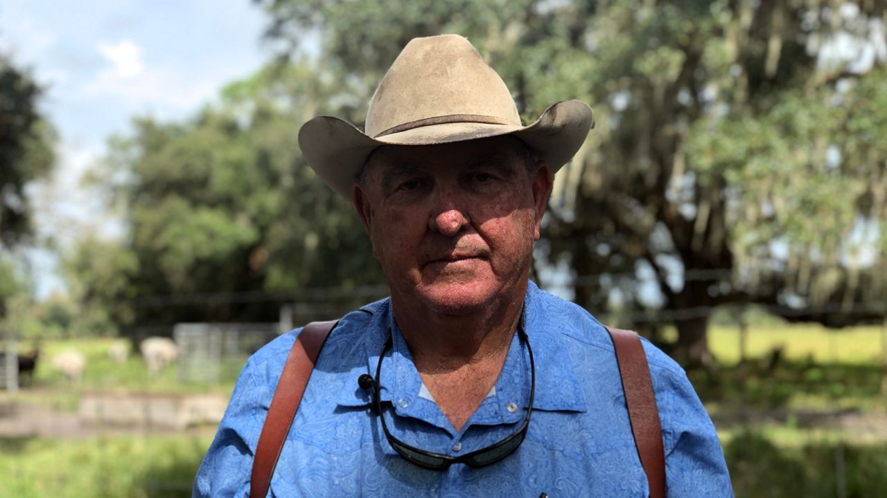 St Cloud Family Cattle Raising Tradition