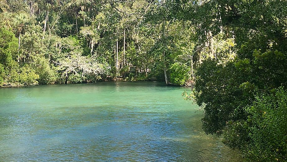 Homosassa River restoration hangs in the balance