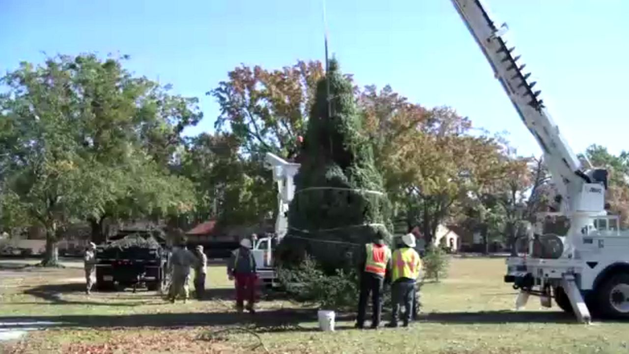 Fort Bragg Unveils 25-Foot Christmas Tree