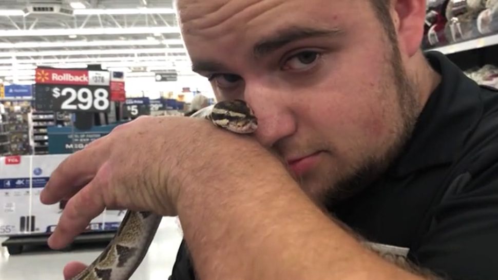 Hamilton Man Uses Python Snake as Emotional Support Animal