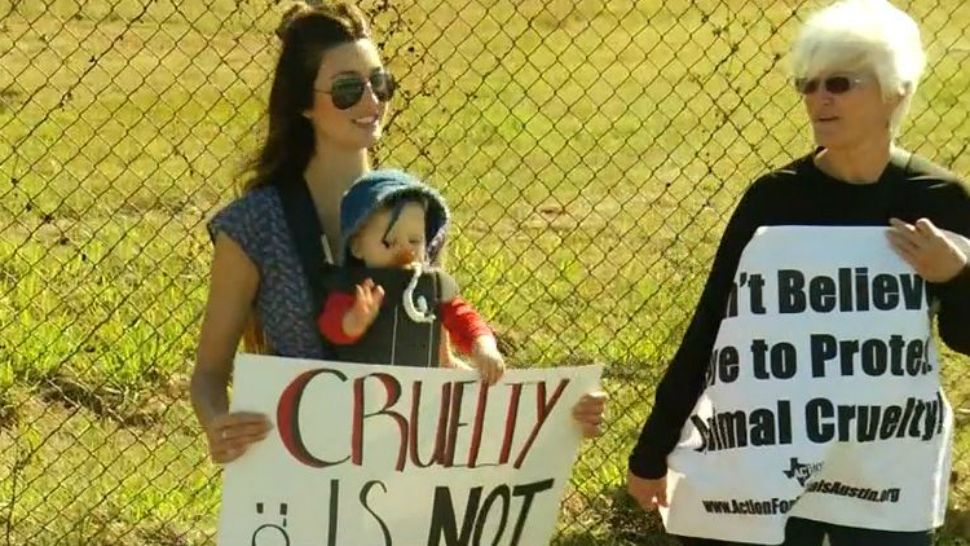 Animal rights activists protest East Austin circus