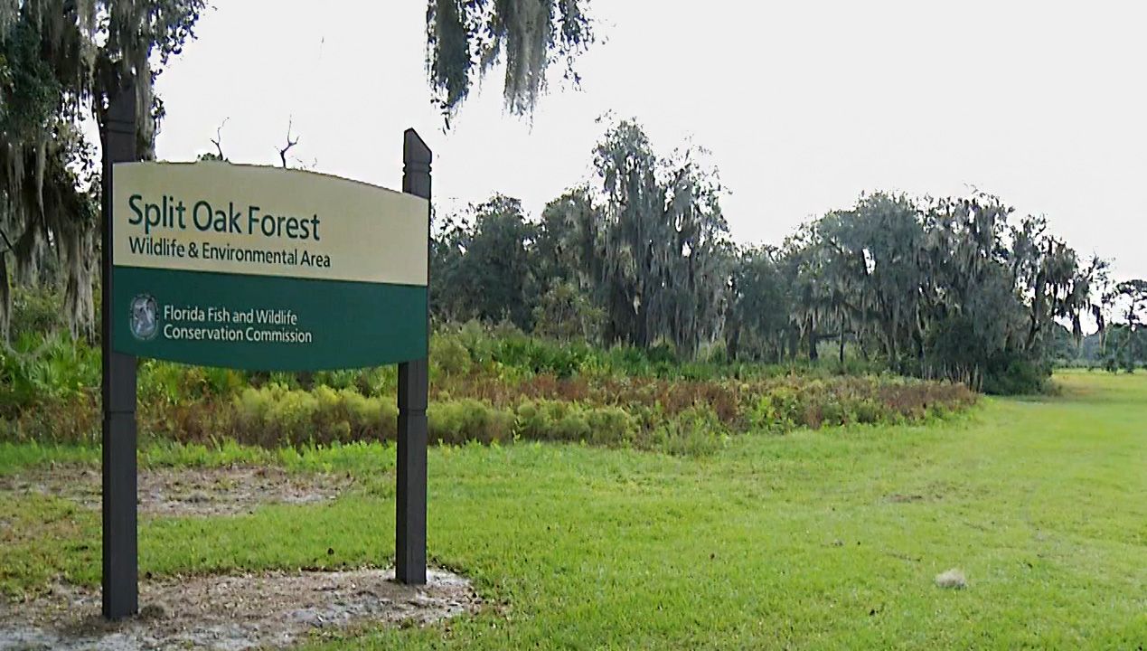 Expressway Authority to Decide Fate on Controversial Osceola Parkway ...