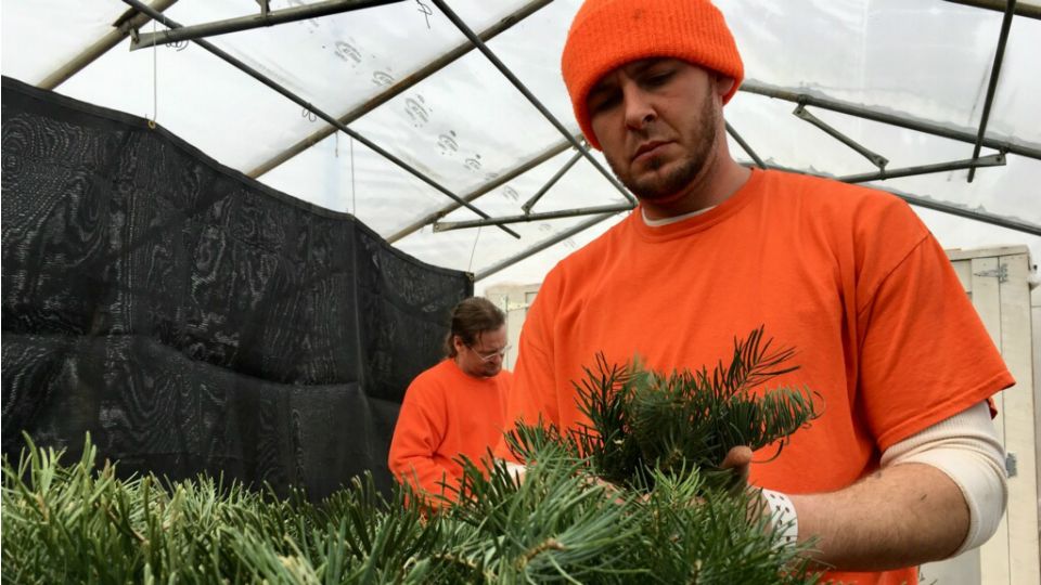 Spreading Holiday Cheer Beyond Jail