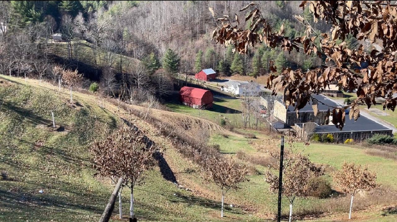 N.C. chestnut farmer brings back an American classic