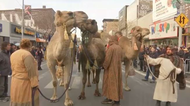 Three Kings Day parade colors the streets of Brooklyn