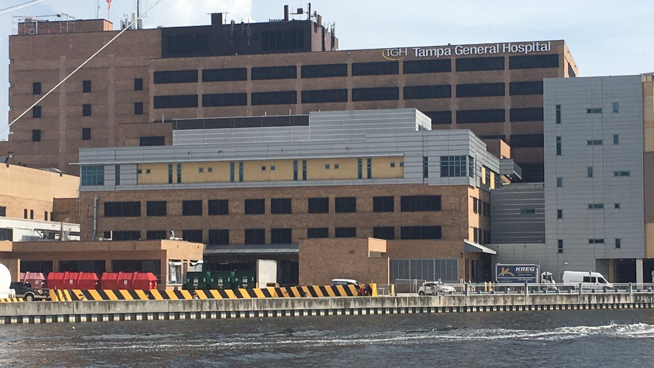 Tampa General workers head to Capitol for "We Are TGH Day"