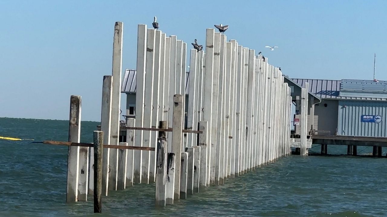 The Anna Maria City Pier expected to be open 2026