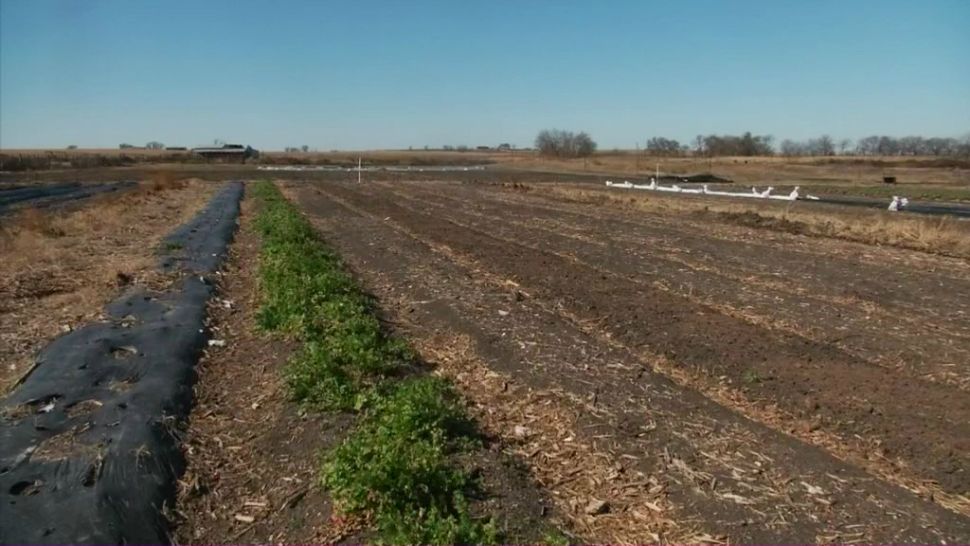 Moderate drought conditions return to half of Texas