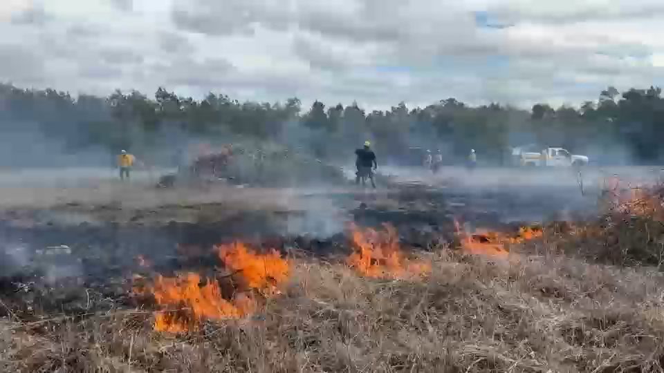 Firefighters conduct controlled burns