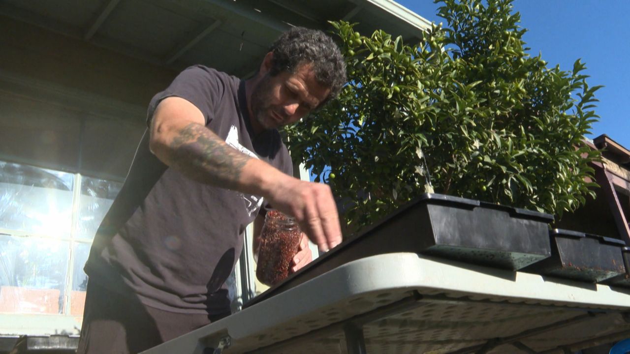 California’s Smallest Farm in the Heart of Mar Vista