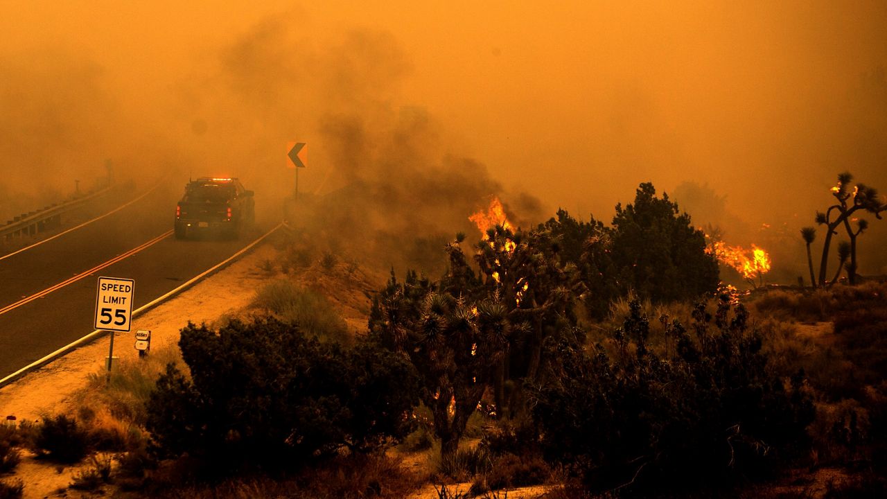 Bobcat Fire Now at 95% Containment