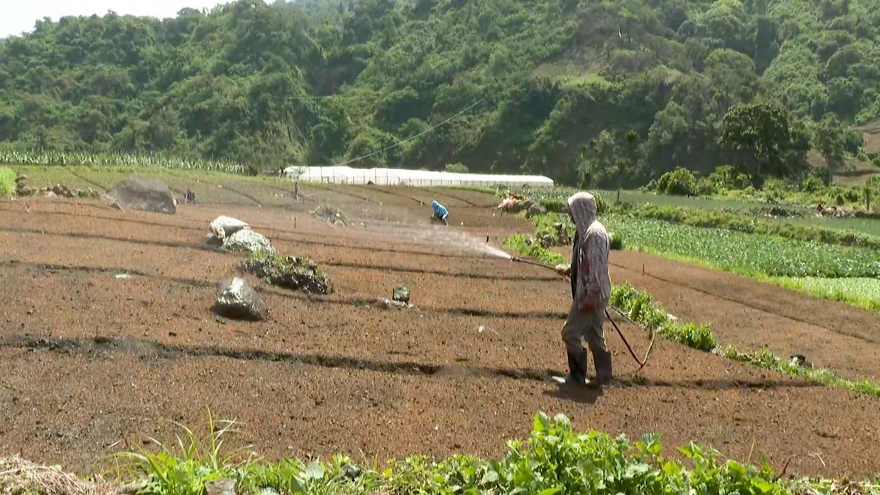 Guatemalan farmer shares root causes of migration