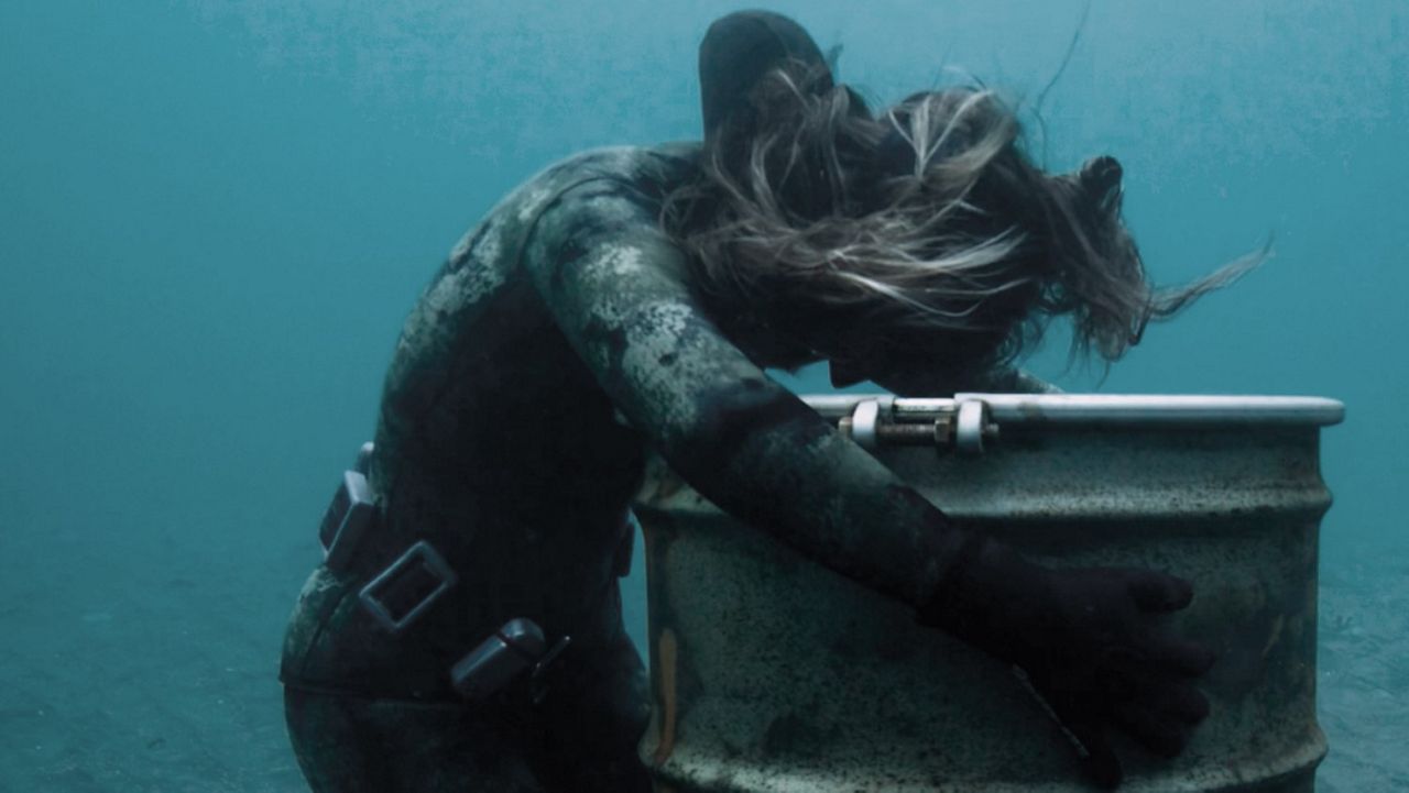 Art exhibit in Laguna Beach focuses on DDT in ocean