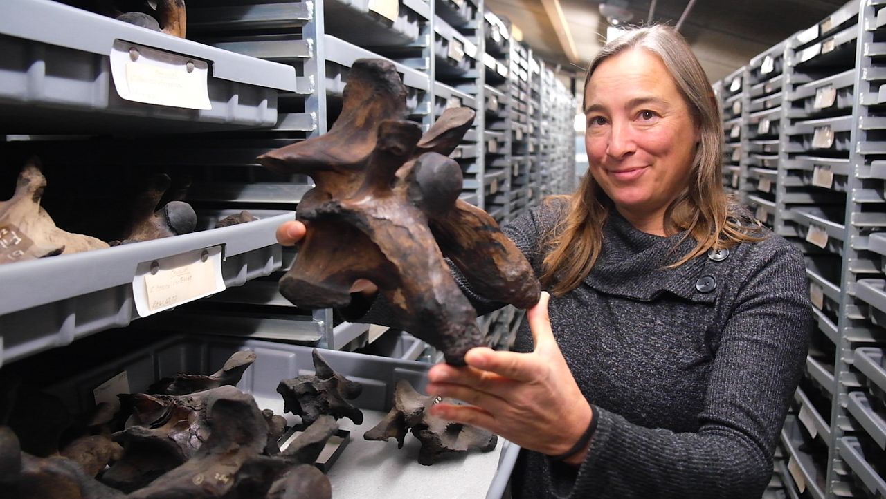 La Brea Tar Pits recognized as Geological Heritage Site